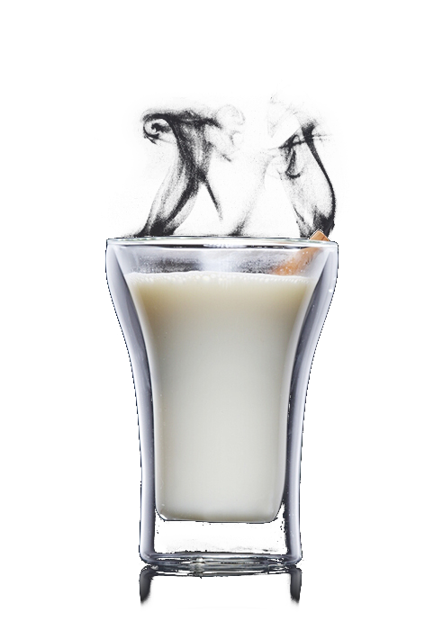 Ponche de Leche Rezept - Cocktail